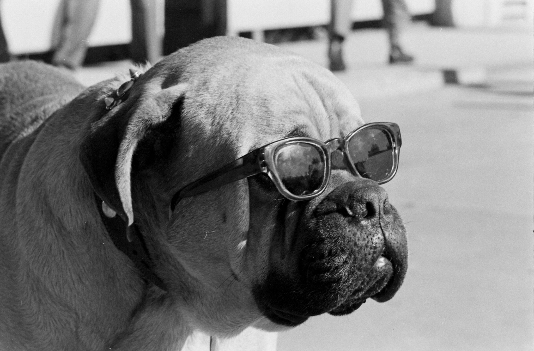 The Most Iconic Photographs of All Time - LIFE