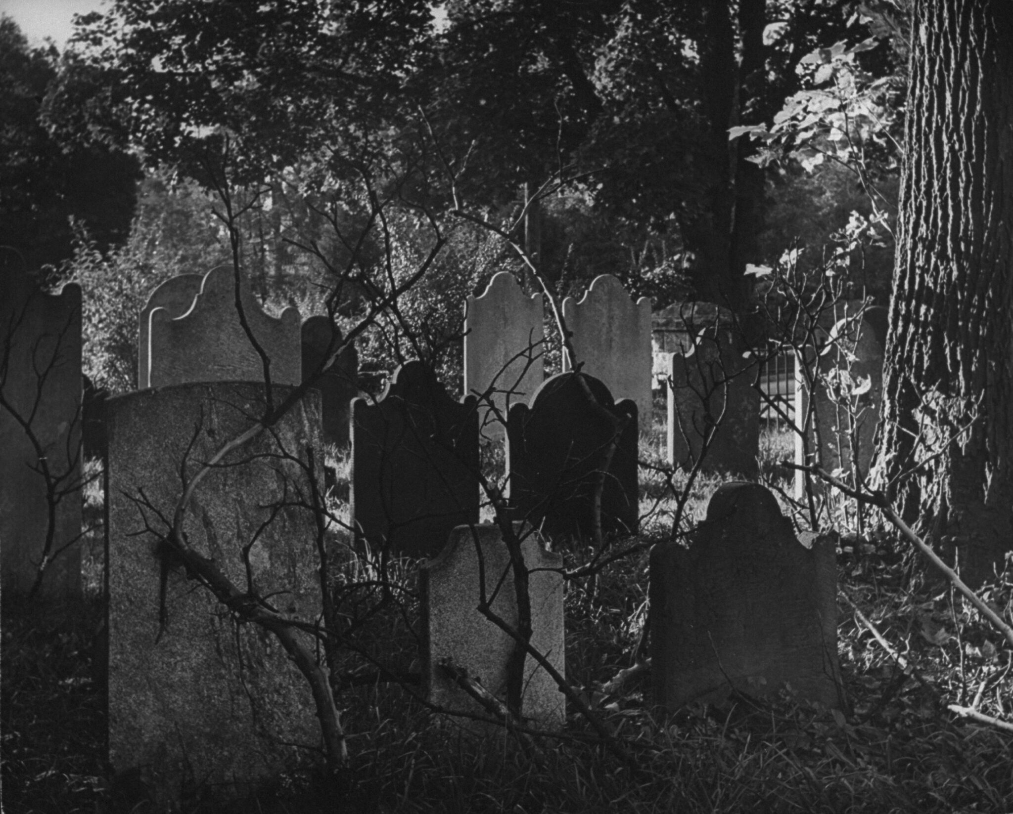 The 100 Most Important Photos Ever - LIFE