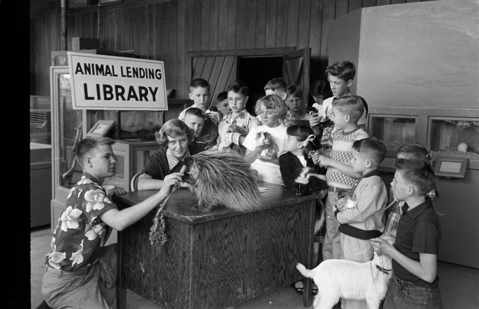 Mike the Headless Chicken: A Rooster Loses His Head ... and Lives