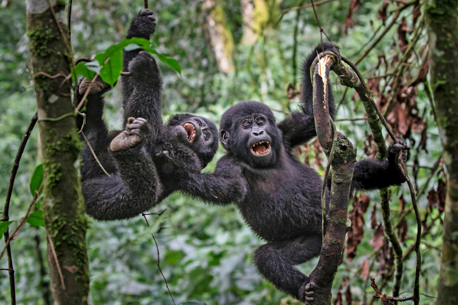 Female Jockeys Who Broke Down Barriers - LIFE