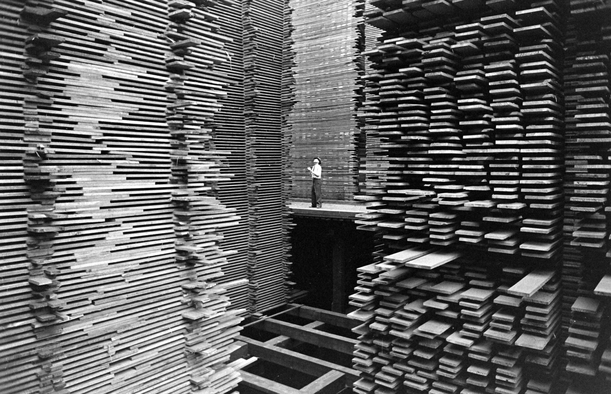 Billy 'Cockeyed' Cook: Portrait of an American Spree Killer, 1951