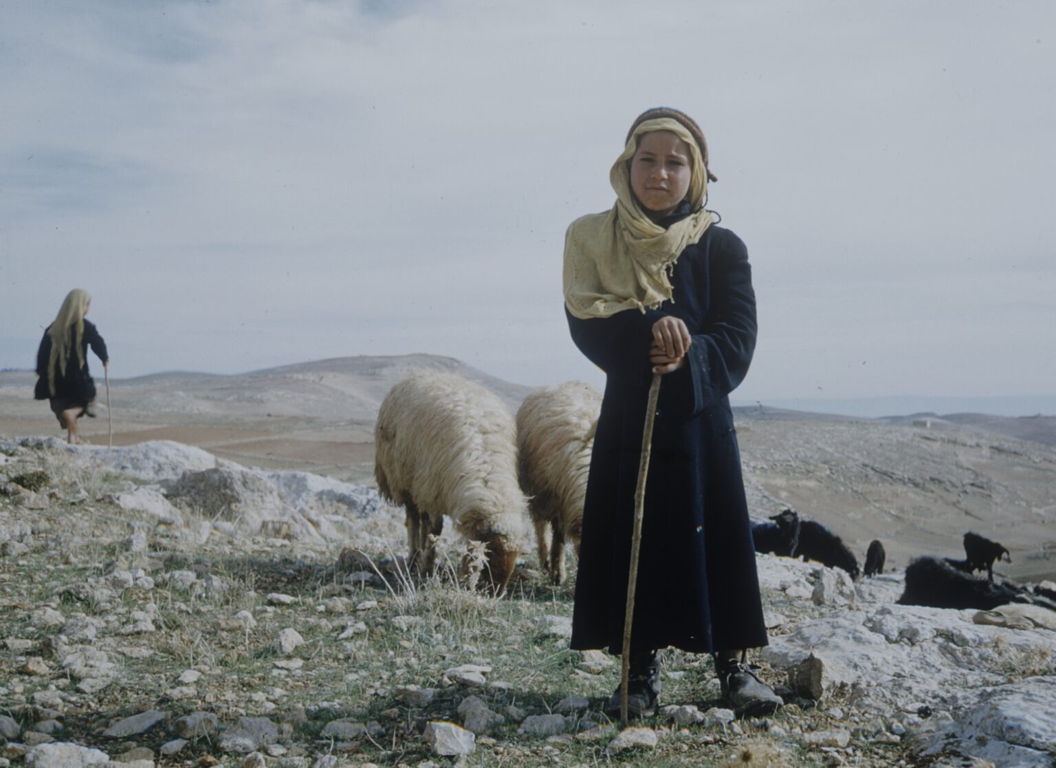 Apollo 11 Lunar Module: Photos From Development to Landing