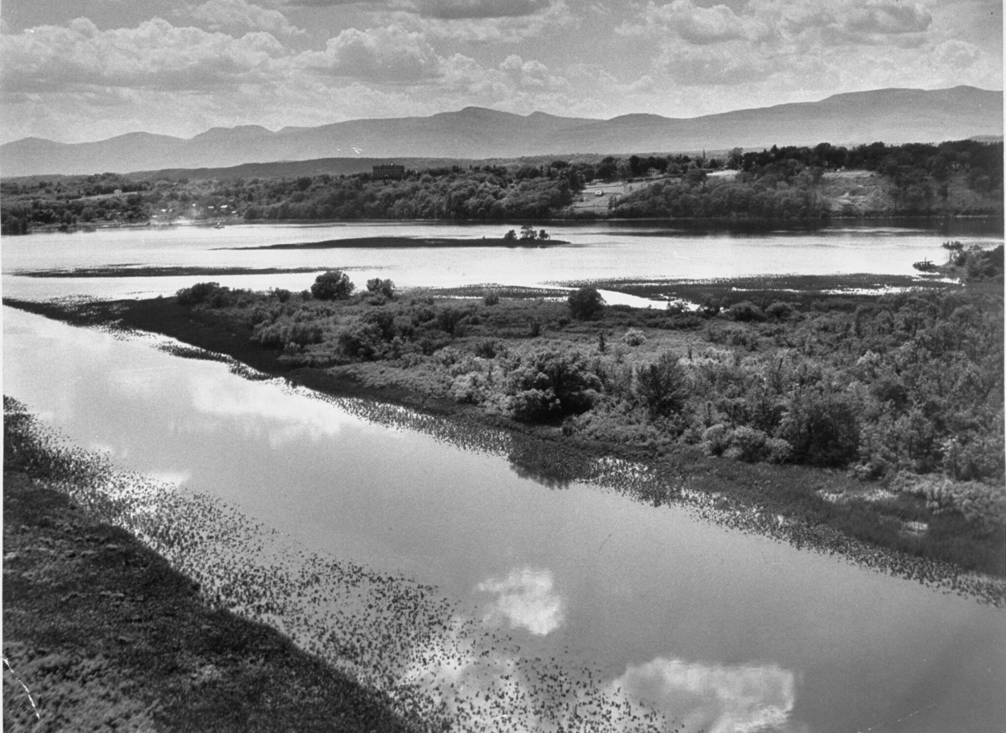 Ain't No Party Like a Statehood Party: When Alaska Joined the Union - LIFE