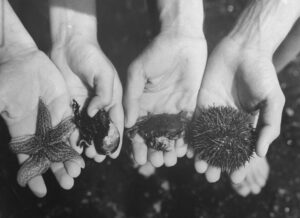 Debbie Drake: America's First Female TV Fitness Guru - LIFE