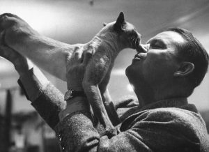 animals Photo Archives - LIFE